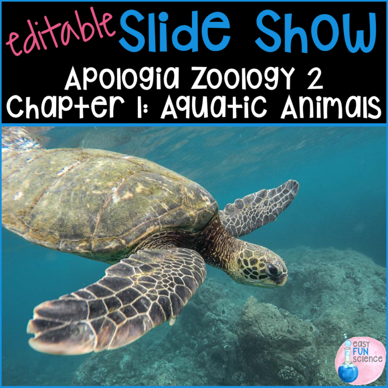 Apologia Zoology 2 Swimming Creatures Ch 1 Aquatic Animals Slideshow ...