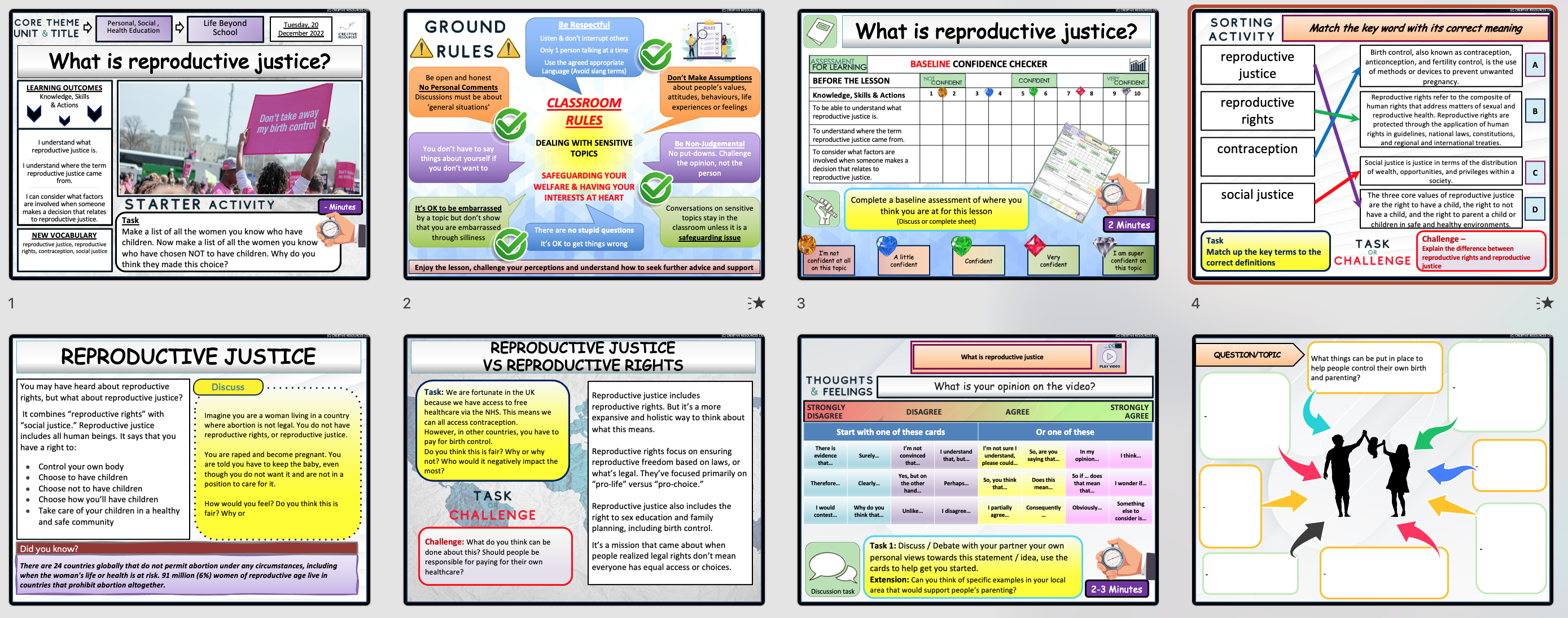 What is reproductive Justice | Made By Teachers