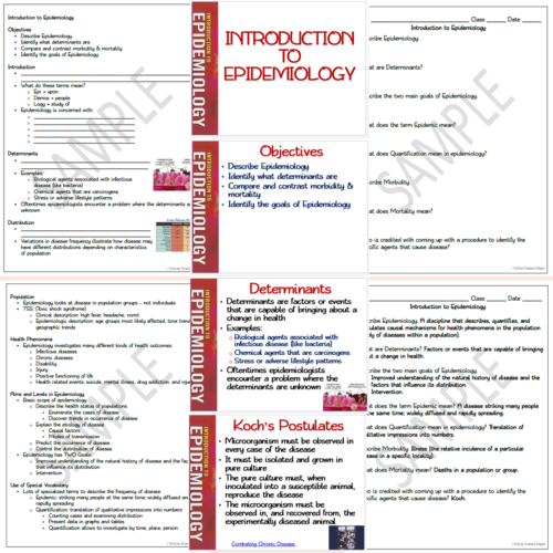 Introduction to Epidemiology | Made By Teachers