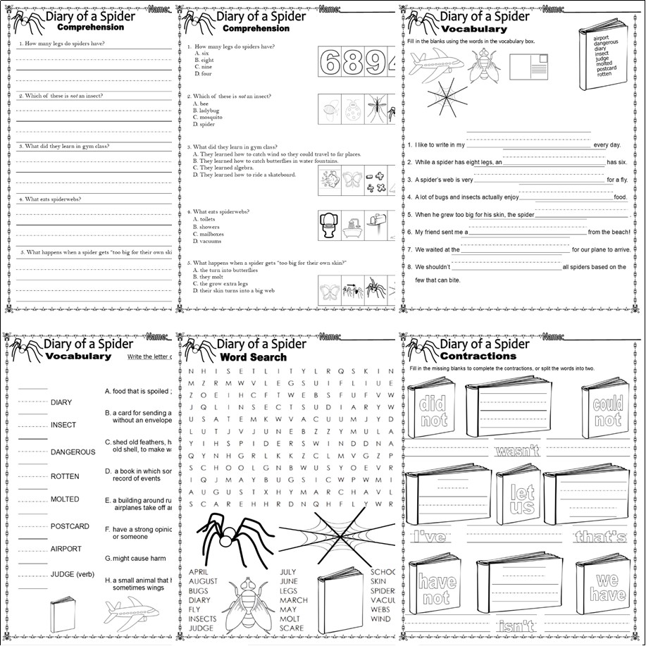 Diary of a Spider Book Companion Reading Comprehension | Made By Teachers