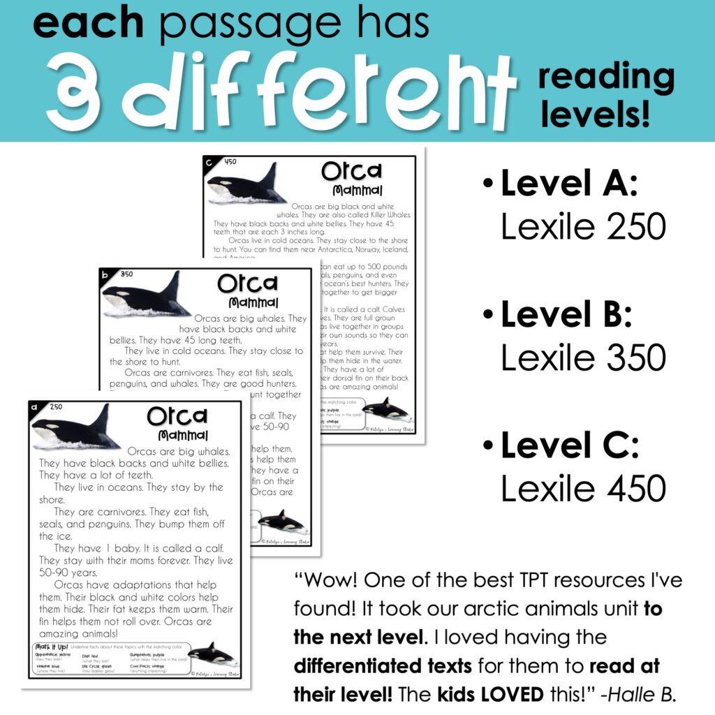 Winter Arctic Animals Research Project and Reading Passages | Made By ...