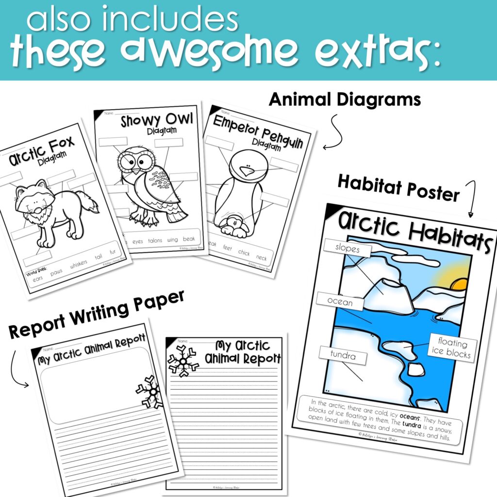 Winter Arctic Animals Research Project and Reading Passages | Made By ...