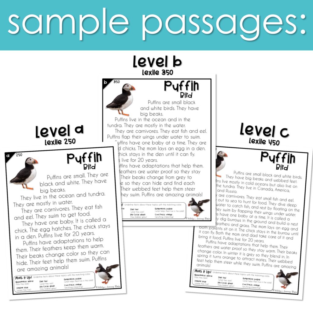 Winter Arctic Animals Research Project and Reading Passages | Made By ...