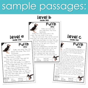 Winter Arctic Animals Research Project and Reading Passages | Made By ...