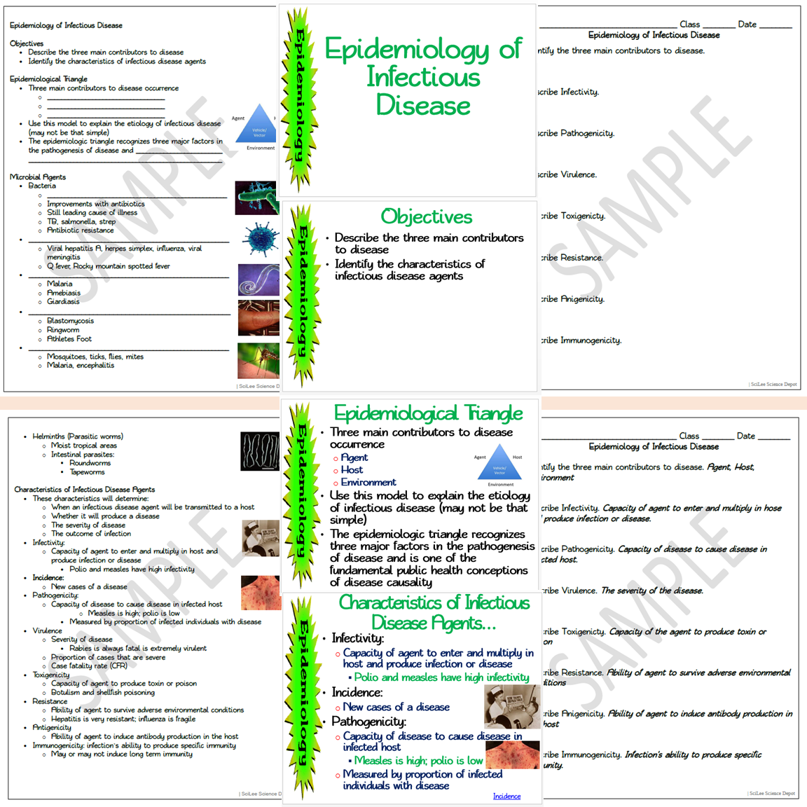 Epidemiology of Infectious Disease PowerPoint and Worksheet | Made By ...