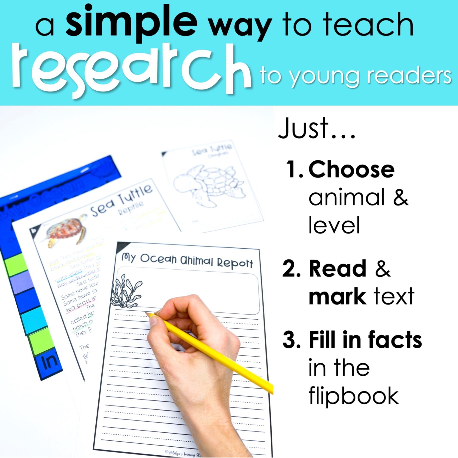 Ocean Unit Study | Ocean Animals Research Projects and Reading Passages ...