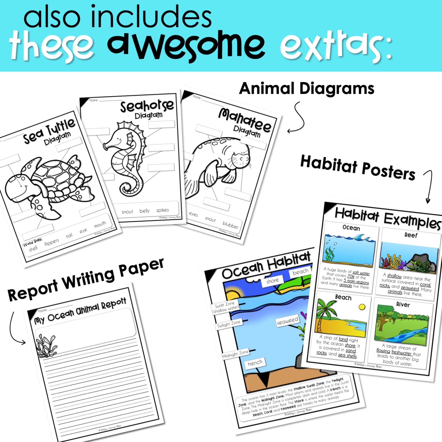 Ocean Unit Study | Ocean Animals Research Projects and Reading Passages ...