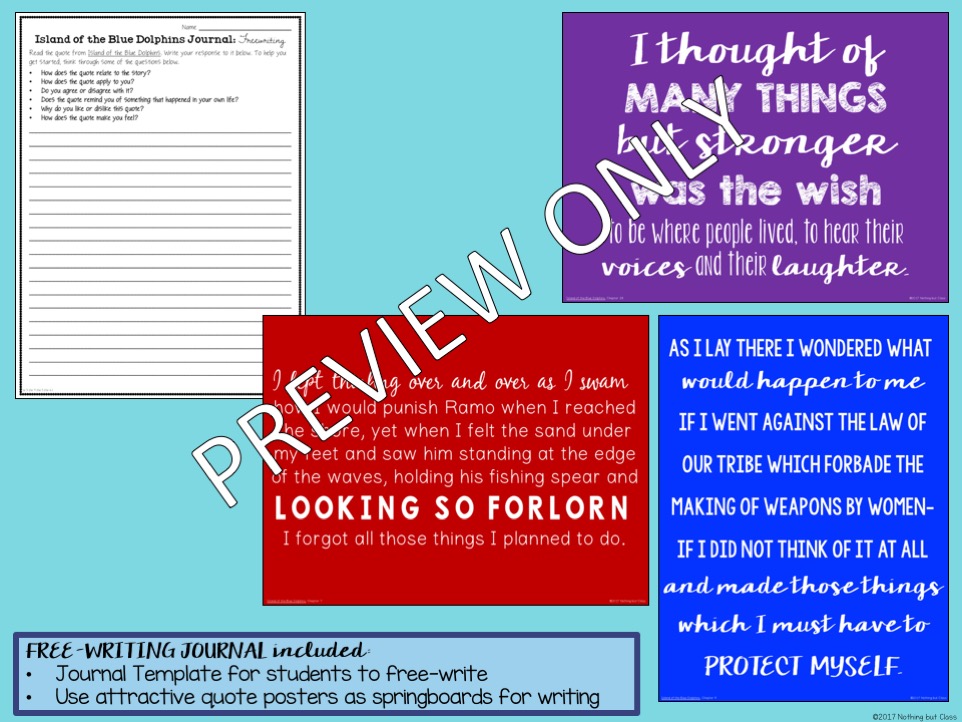 Island of the Blue Dolphins Novel Study | Comprehension and Vocabulary ...