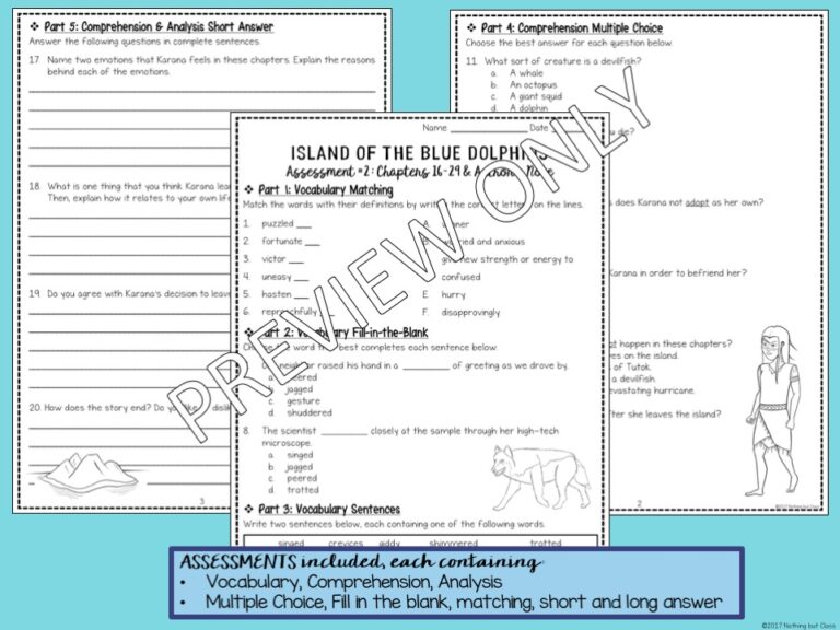 Island of the Blue Dolphins Novel Study | Comprehension and Vocabulary ...