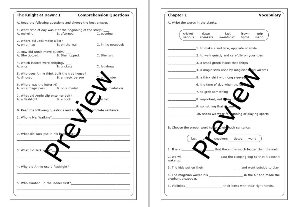 Magic Tree House "The Knight at Dawn" worksheets | Made By Teachers