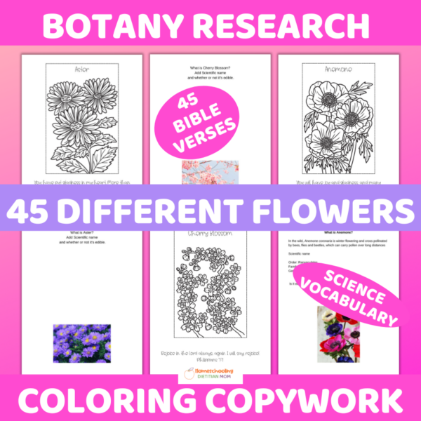 Botany Research Project and Coloring Pages | Made By Teachers