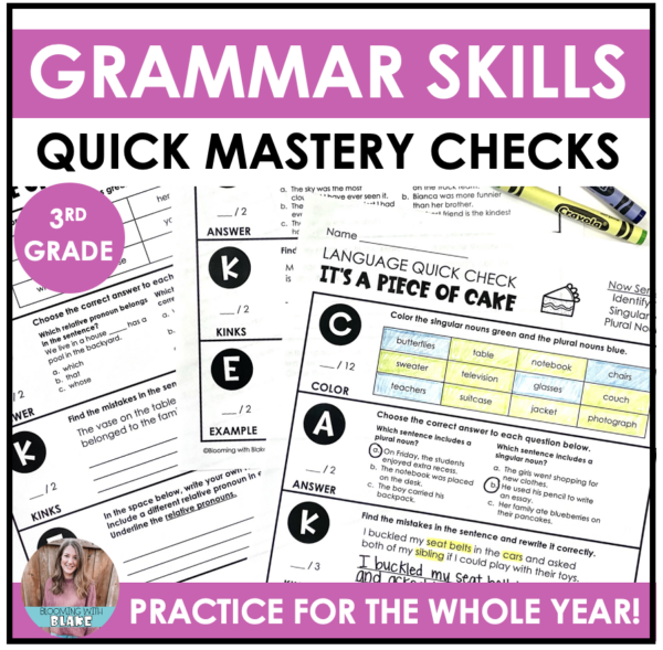 3rd Grade Grammar Practice Worksheets and Assessments | Made By Teachers