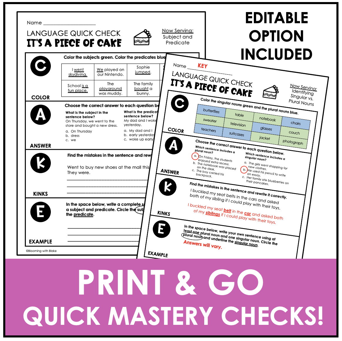 3rd Grade Grammar Practice Worksheets and Assessments | Made By Teachers