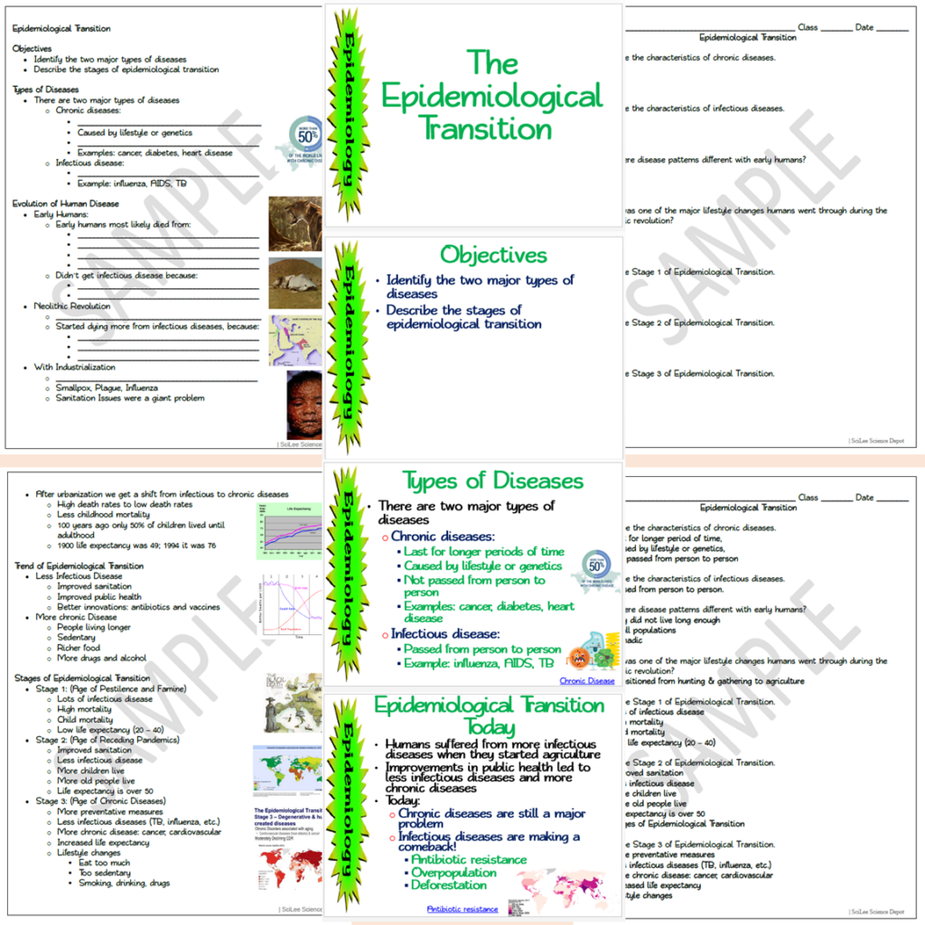 Epidemiology: Epidemiological Transition PowerPoint and Worksheet ...