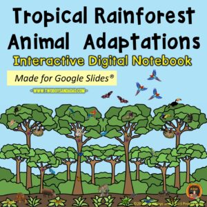 Tropical Rainforest Animal Adaptations Google Slides® Notebook | Made ...