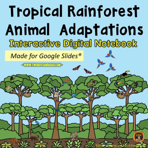 Tropical Rainforest Animal Adaptations Google Slides® Notebook | Made ...