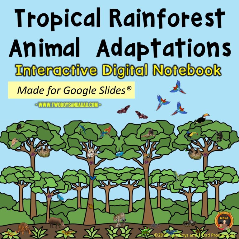 Tropical Rainforest Animal Adaptations Google Slides® Notebook | Made ...