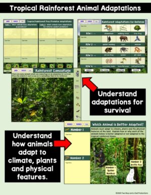 Tropical Rainforest Animal Adaptations Google Slides® Notebook | Made ...