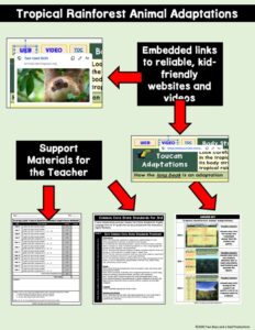 Tropical Rainforest Animal Adaptations Google Slides® Notebook | Made ...