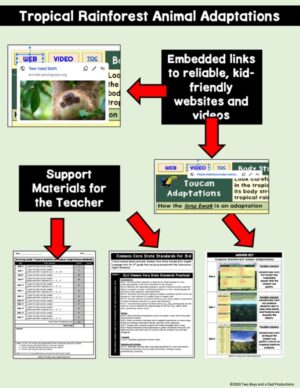 Tropical Rainforest Animal Adaptations Google Slides® Notebook | Made ...