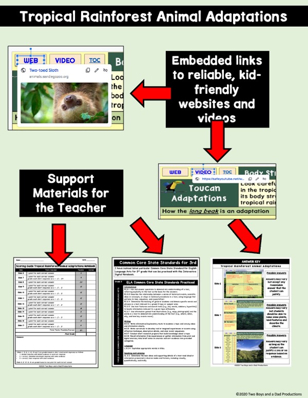 Tropical Rainforest Animal Adaptations Google Slides® Notebook | Made ...