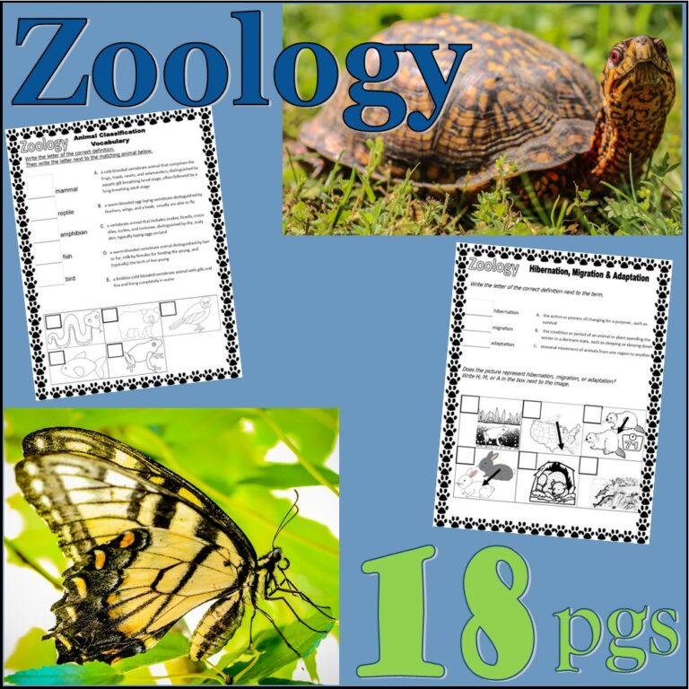 Zoology Animal Classification Science Study Unit Worksheets | Made By ...