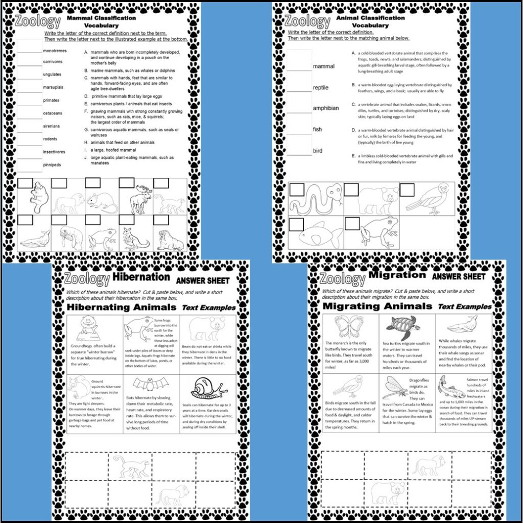 Zoology Animal Classification Science Study Unit Worksheets | Made By ...