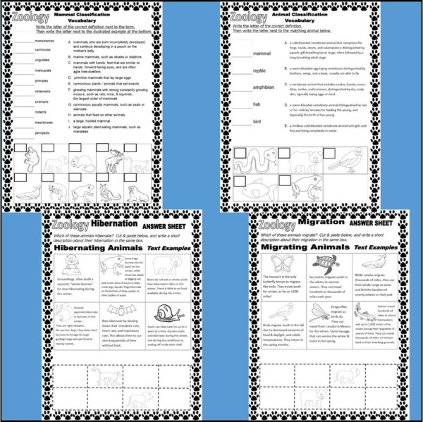 Zoology Animal Classification Science Study Unit Worksheets | Made By ...