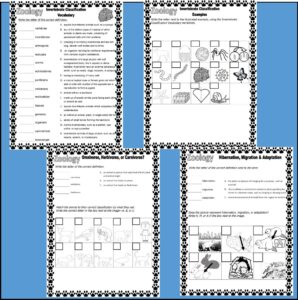 Zoology Animal Classification Science Study Unit Worksheets | Made By ...