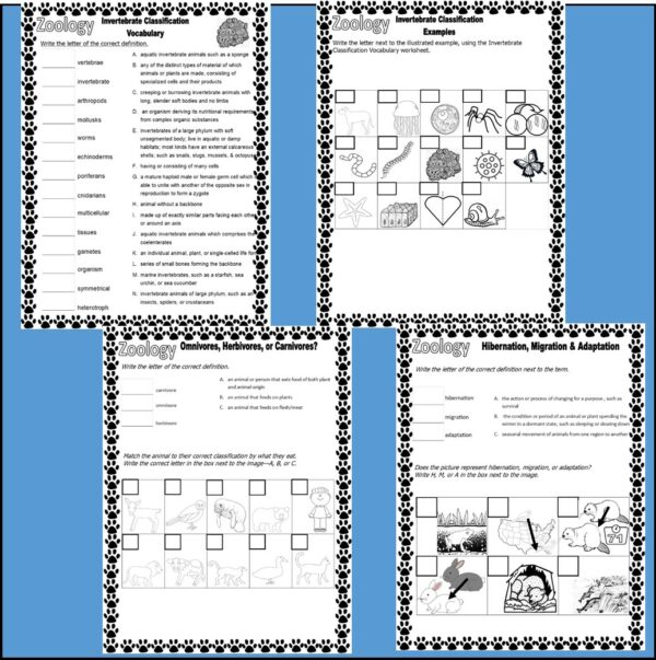 Zoology Animal Classification Science Study Unit Worksheets | Made By ...