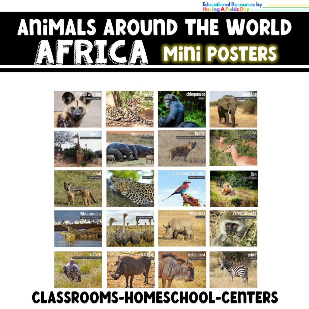 African Animals - Animals Around the World Mini Posters | Made By Teachers
