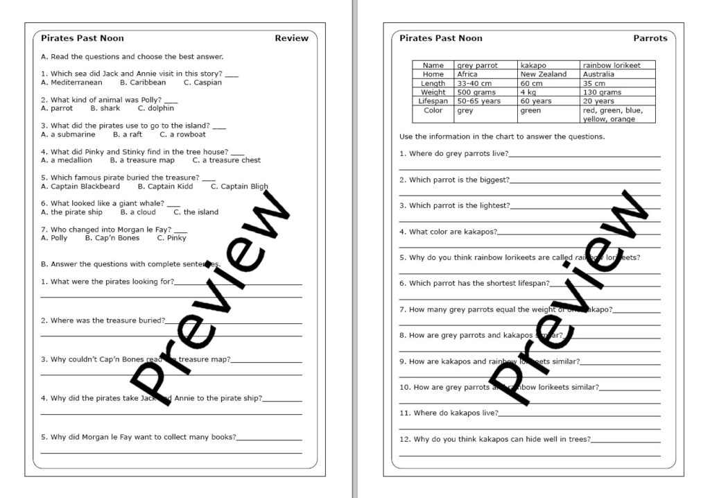 Magic Tree House "Pirates Past Noon" worksheets | Made By Teachers