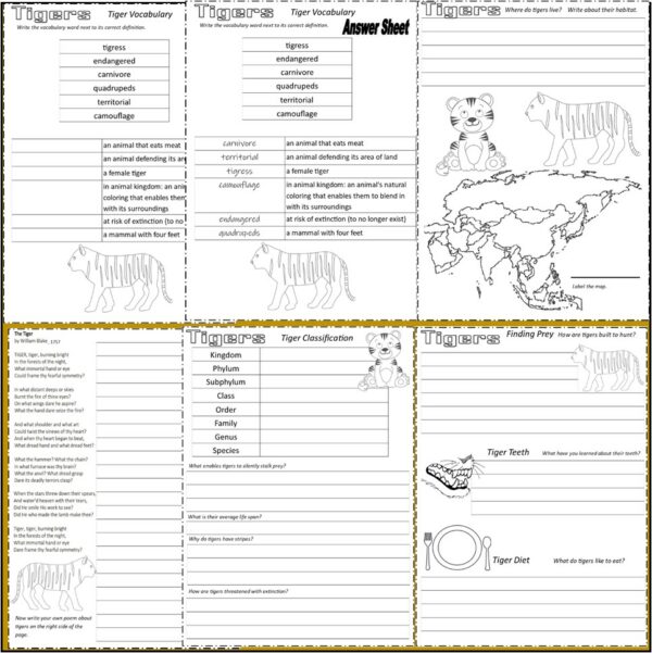 Tigers Zoology Science Study Unit Worksheets | Made By Teachers