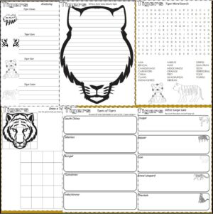Tigers Zoology Science Study Unit Worksheets | Made By Teachers