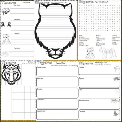 Tigers Zoology Science Study Unit Worksheets | Made By Teachers