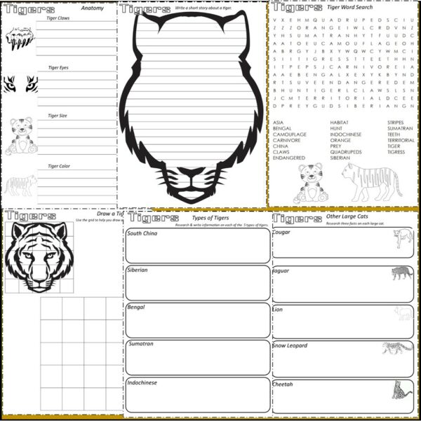 Tigers Zoology Science Study Unit Worksheets | Made By Teachers