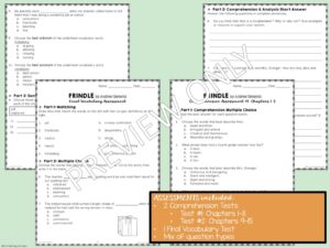 Frindle Novel Study Unit | Comprehension and Vocabulary with Activities ...
