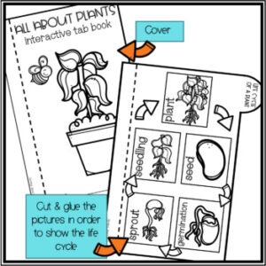 All About Plants Interactive Tab Book | Made By Teachers