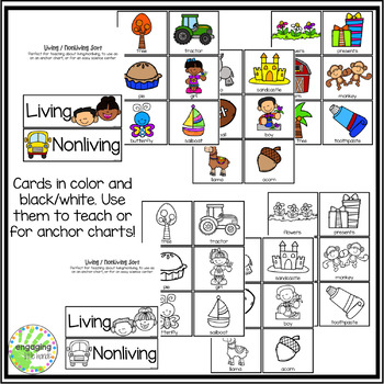 Living or Nonliving- an Instructional Flipbook | Made By Teachers