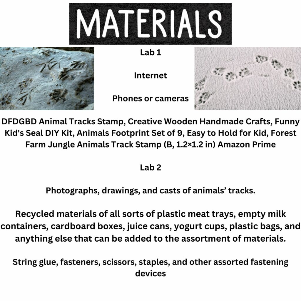 Weather Animal Tracks in the Snow Middle and High School Science Nature ...