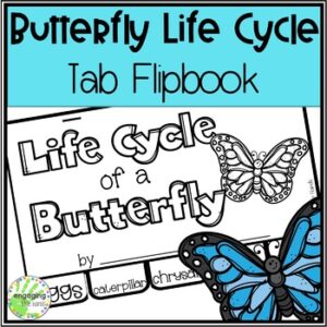 Life Cycle Flip Book Bundle | Made By Teachers