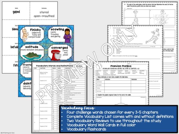 Maniac Magee Novel Study Unit | Comprehension and Vocabulary with ...