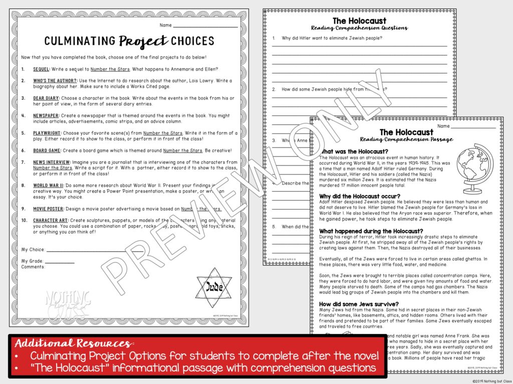 Number the Stars Novel Study Unit | Comprehension and Vocabulary with ...