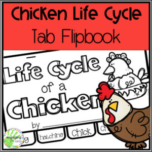 Life Cycle Flip Book Bundle | Made By Teachers