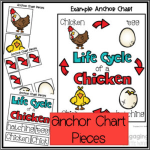 Life Cycle of a Chicken Tab Flip book | Made By Teachers