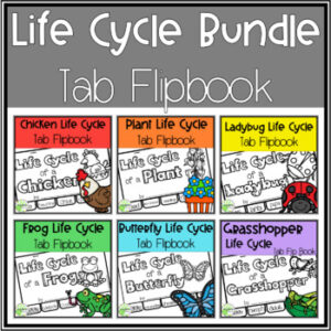 Life Cycle Flip Book Bundle | Made By Teachers