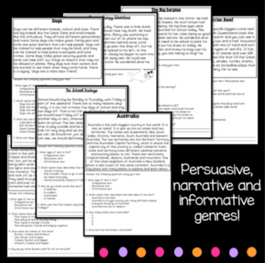 1st Grade Reading Comprehension Passages and Questions, Set 1 | Made By ...