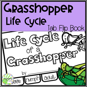 Life Cycle Flip Book Bundle | Made By Teachers