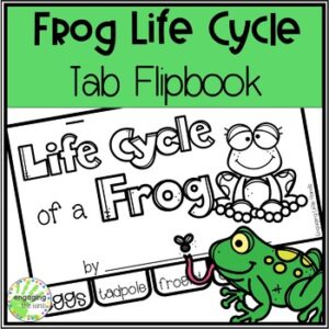 Life Cycle Flip Book Bundle | Made By Teachers