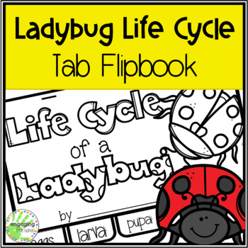 Life Cycle Flip Book Bundle | Made By Teachers